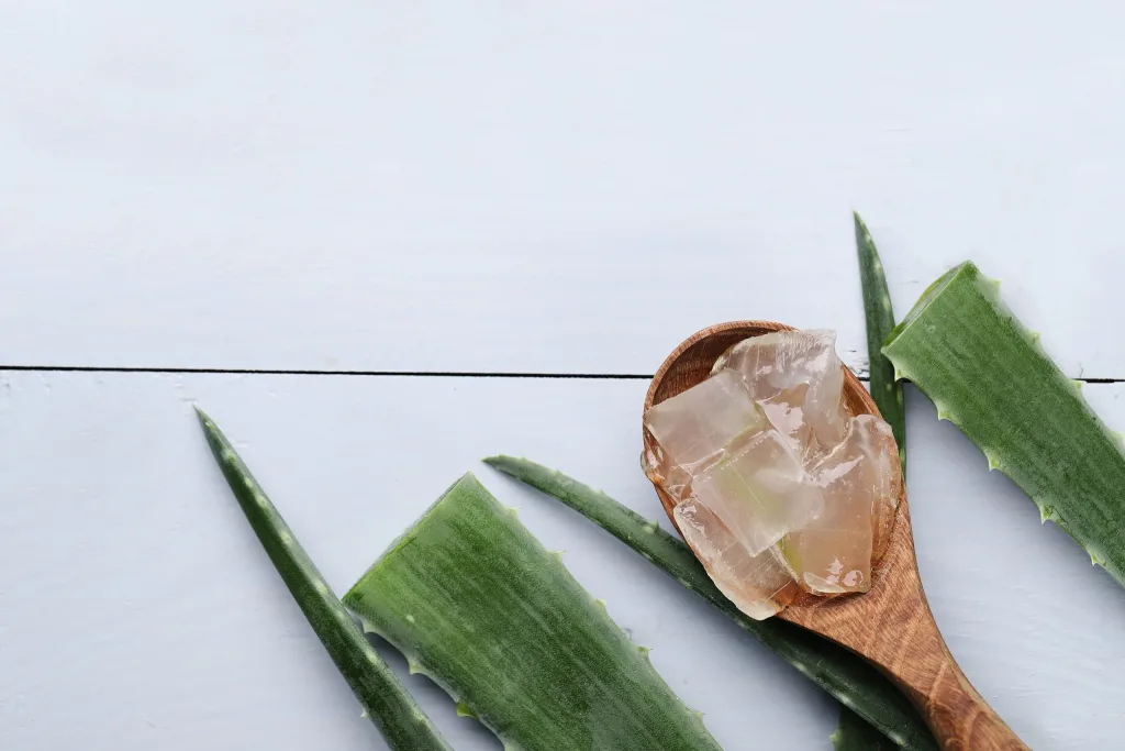ALOE VERA : INGRÉDIENT MIRACLE ? - Feï Paris